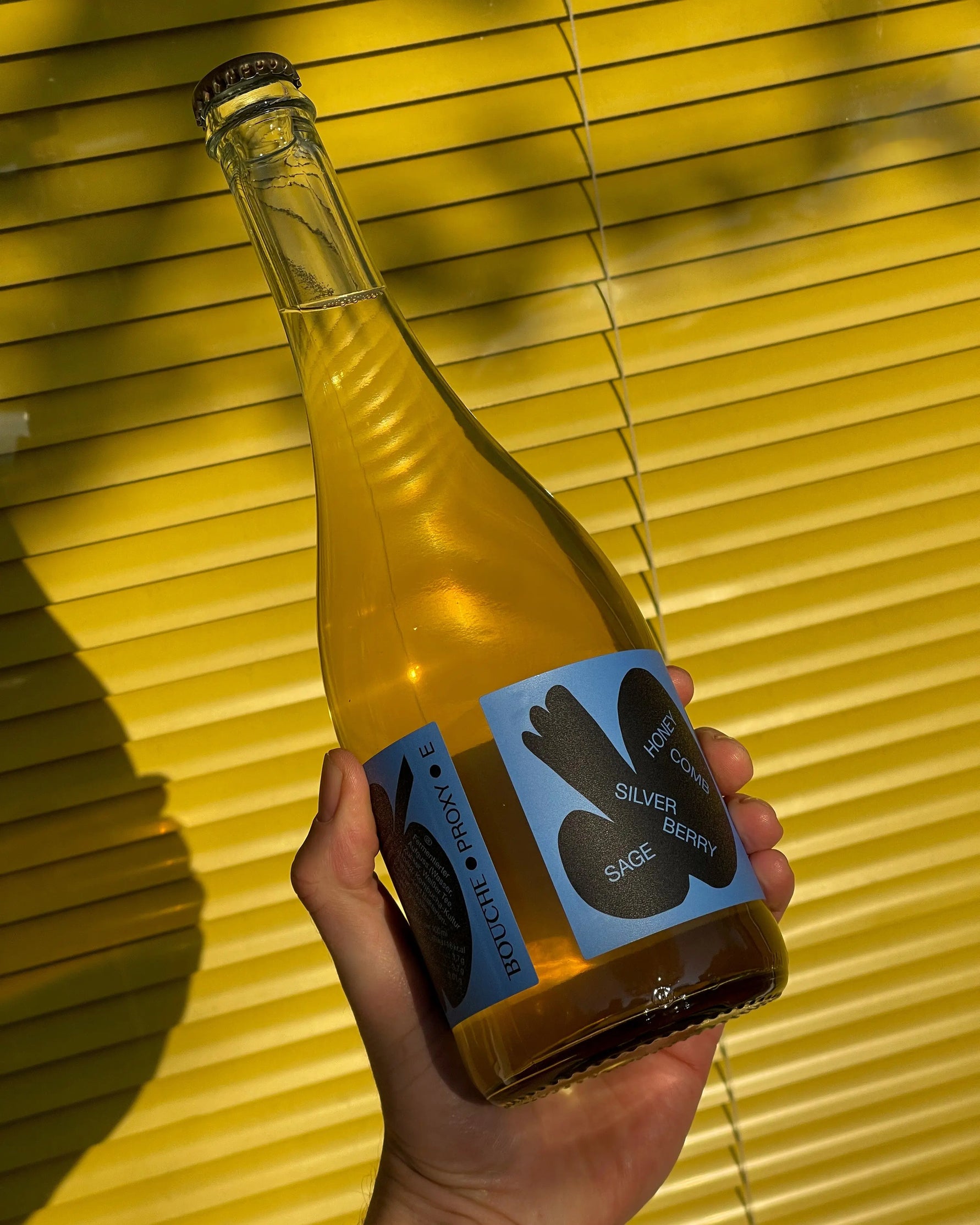 BOUCHE — Bio Kombucha, Pet Nat & Wine Proxy aus Berlin